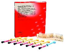 GRADIA DIRECT GC KIT BASE | Dental Today